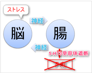 イリボーの効果は抜群！でも女性は便秘の副作用に注意【下痢型IBS薬】 | めでぃすた ｜ 現役薬剤師が本音で語るおくすり情報局